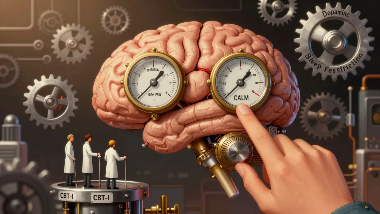 Pain and Sleep: How to Break the Insomnia-Pain Cycle